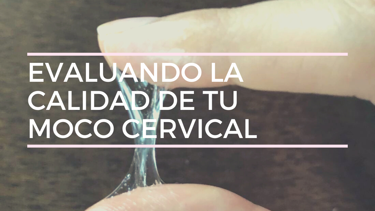 Evaluando la calidad de tu moco cervical